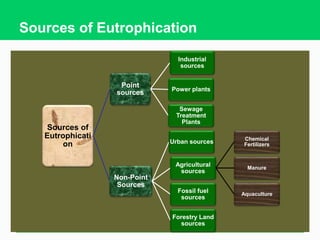 Eutrophication Process Flow Chart