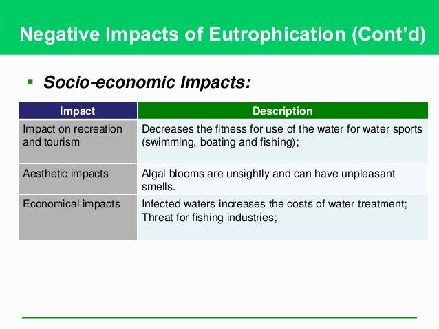 Eutrophication Flow Chart