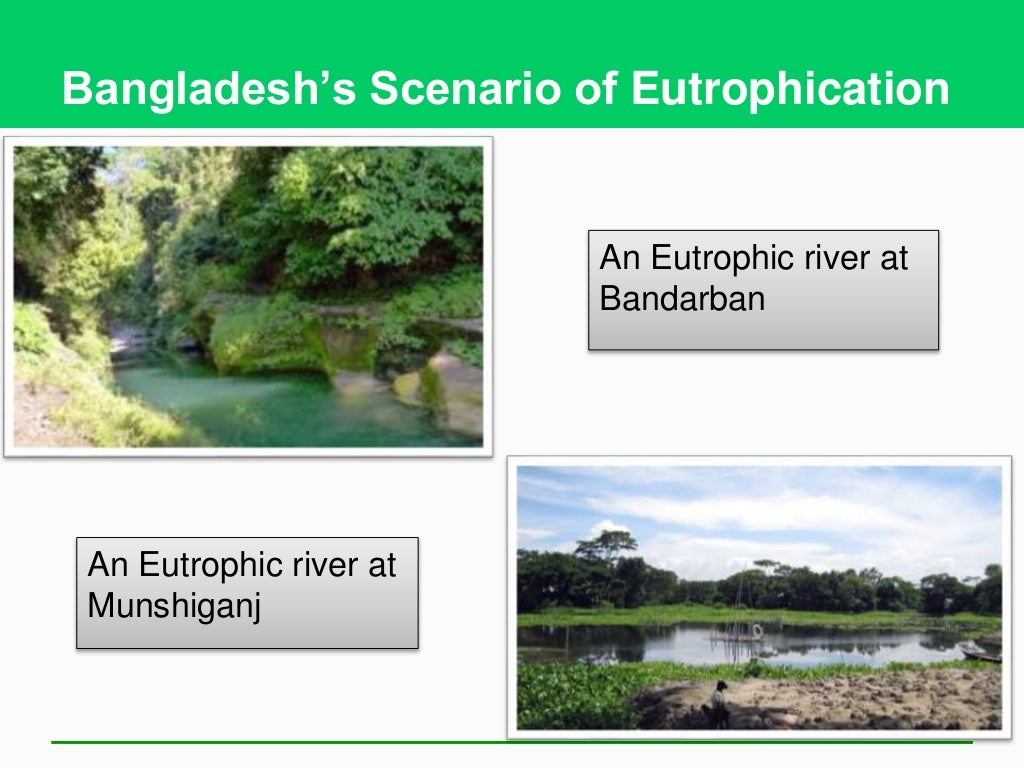 Eutrophication Process