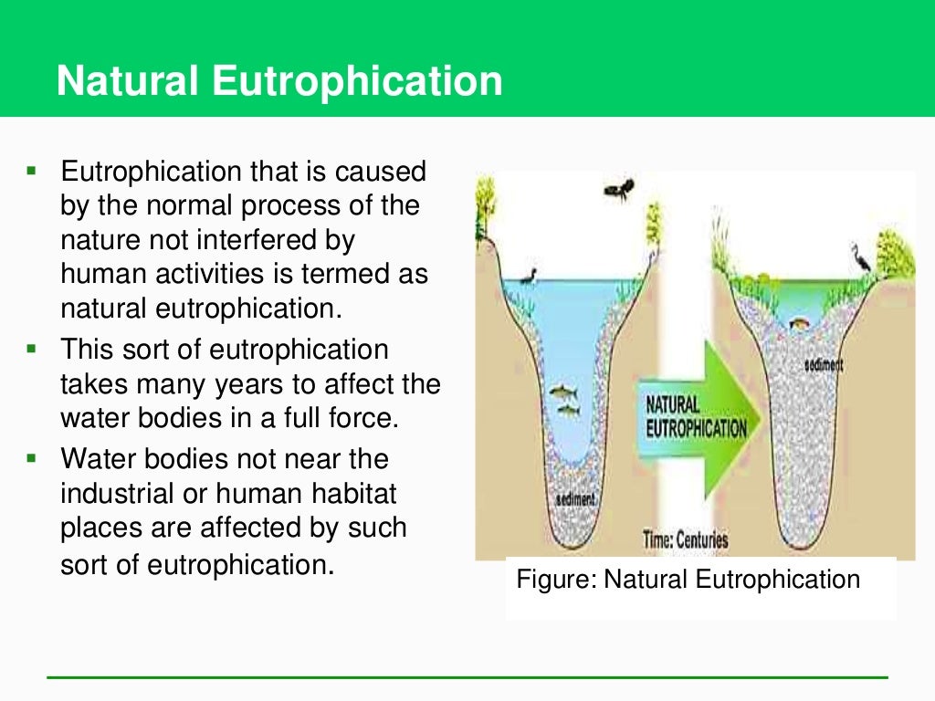 Eutrophication & the Process of Eutrophication