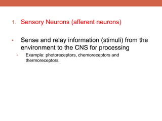 F.1 nervous system homeostasis | PPTX