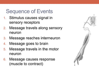 F.1 nervous system homeostasis | PPTX