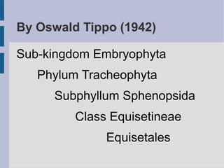 family Equisetaceae | PPT