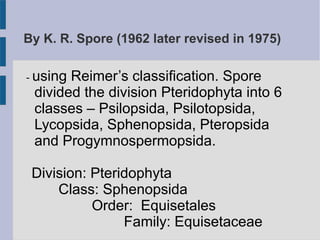 family Equisetaceae | PPT
