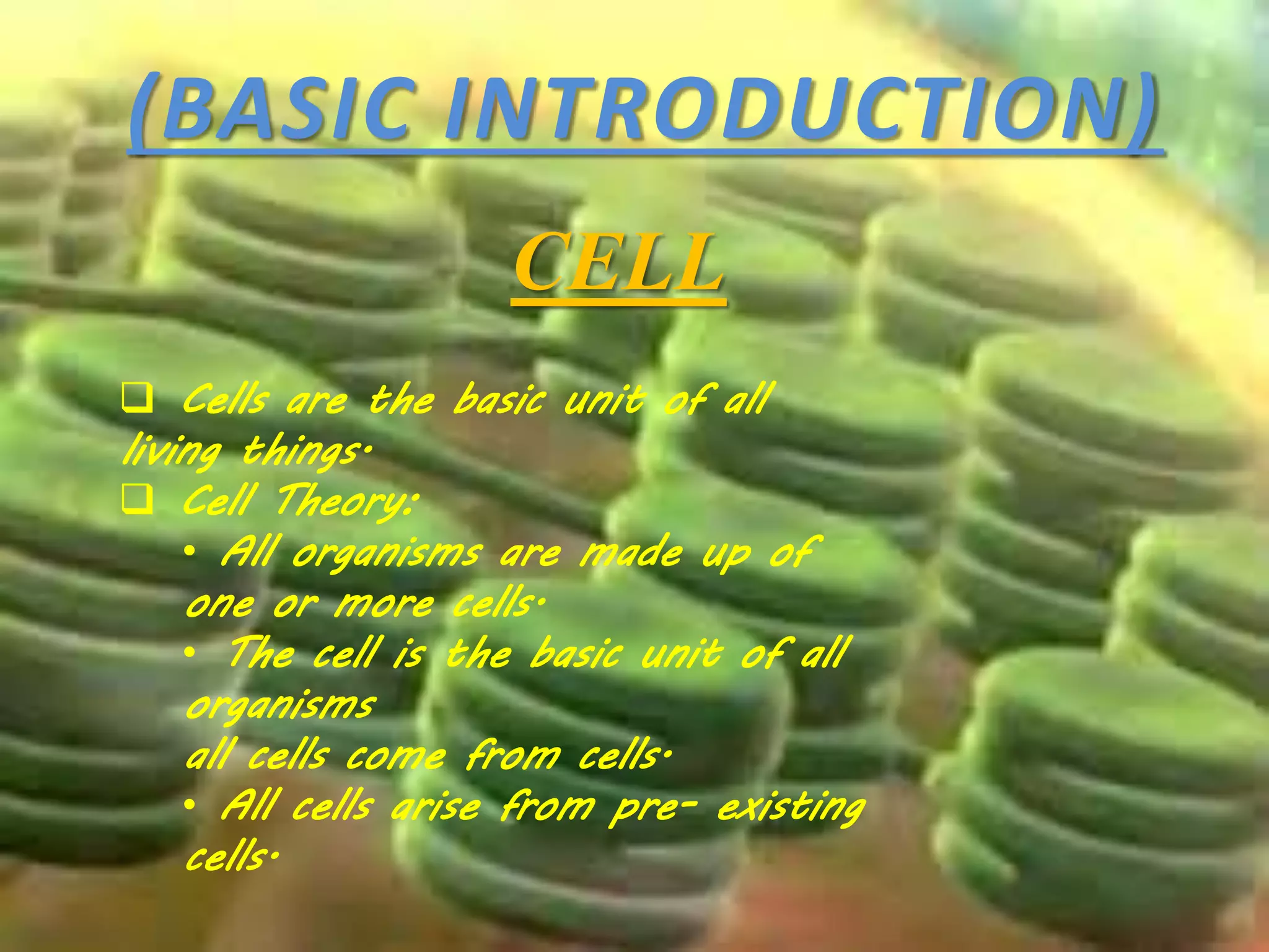 Cell Organelles with a cell song | PPTX | Biological Sciences | Science