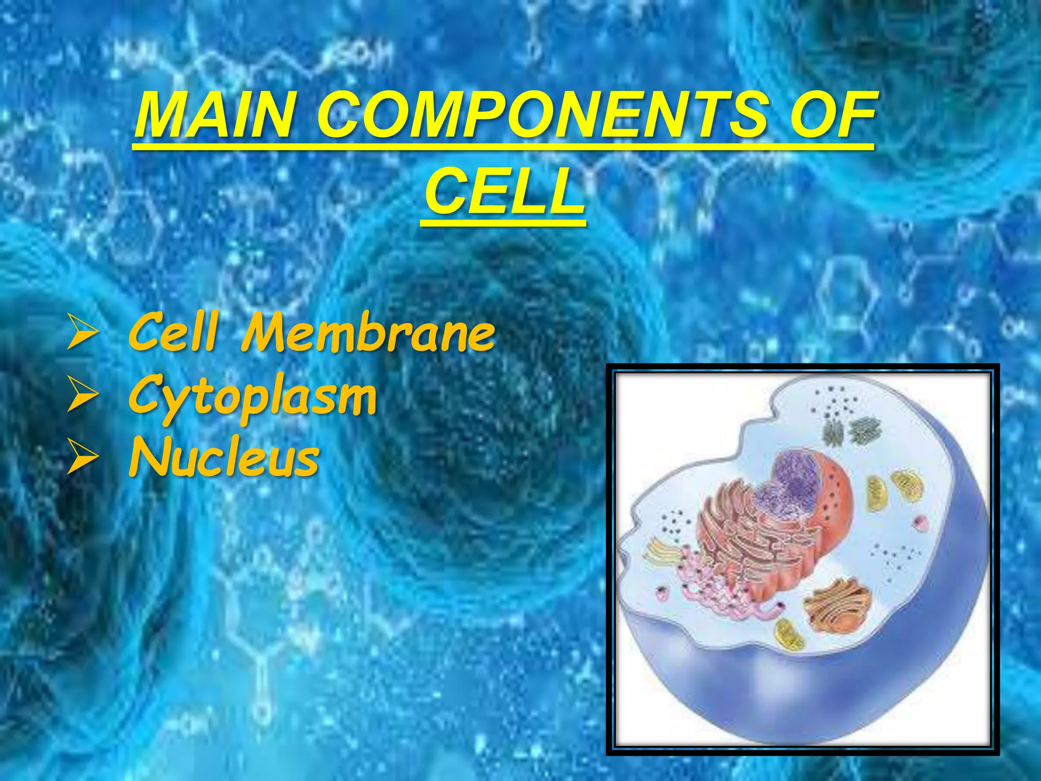 Cell Organelles with a cell song | PPTX | Biological Sciences | Science