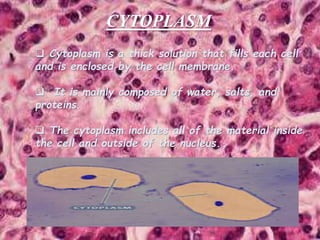 Cell Organelles with a cell song | PPTX | Biological Sciences | Science