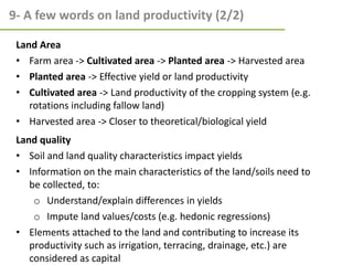 Land Labour Productivity (Franck Cachia, Global Strategy) | PDF