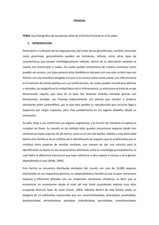 Familia poaceae | PDF