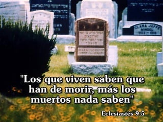 F 18 Mujer Vaso Fragil | PPT