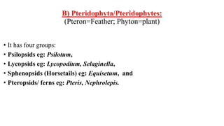 Plant Life & Utilizations | PPT