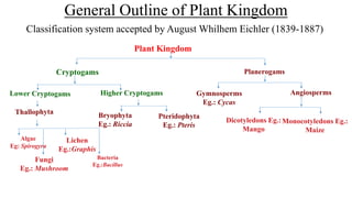 Plant Life & Utilizations | PPT