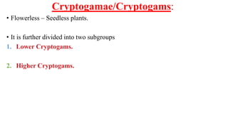 Plant Life & Utilizations | PPT