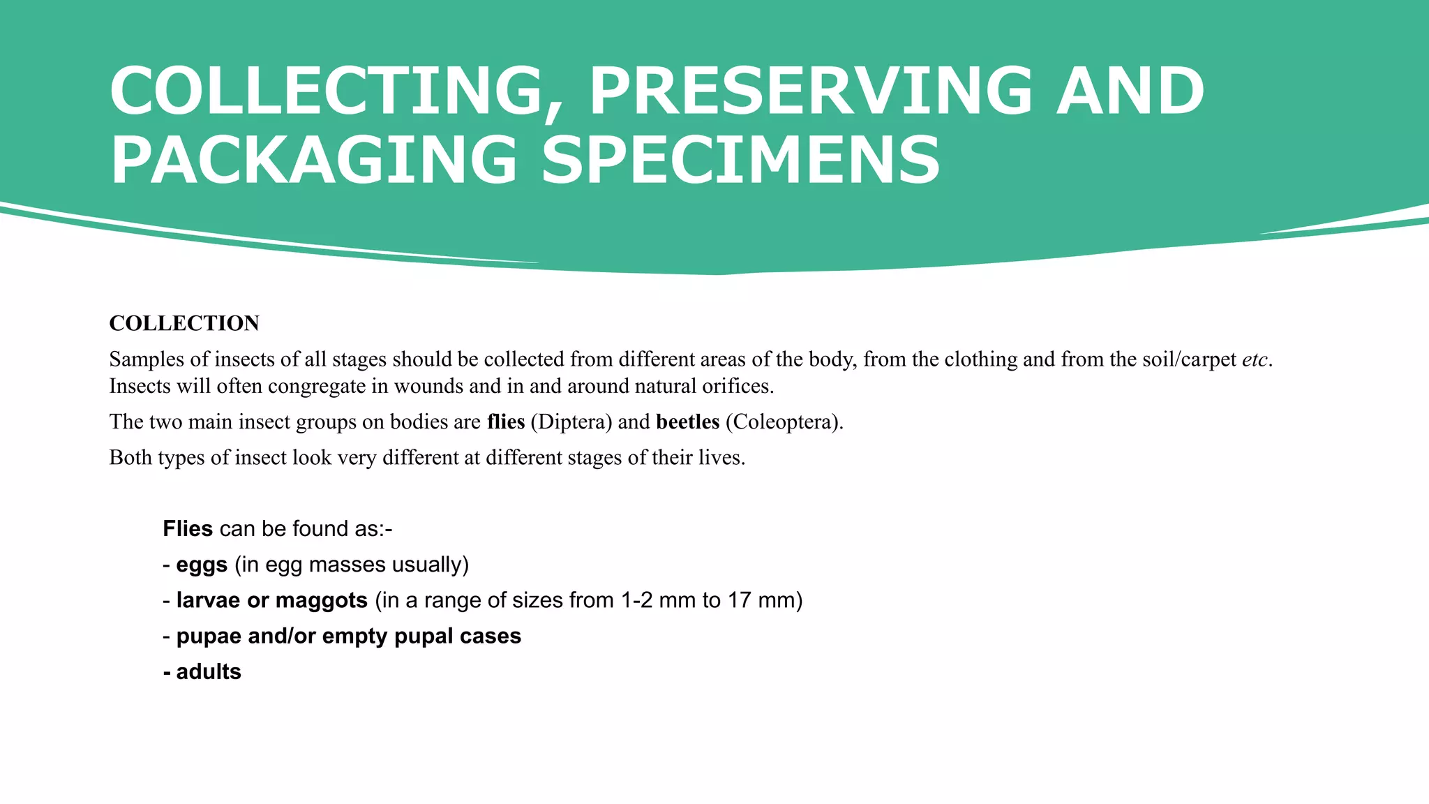 Forensic entomology collection, preservation evidence | PPTX