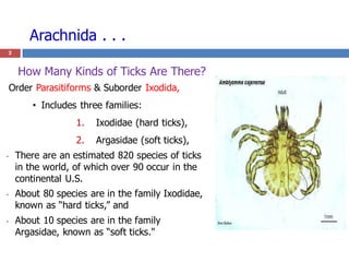 F. Arachnida.pdf