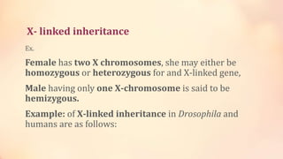 F.-SEX-LINKAGE.powerpoint presentation Genetics | PPTX