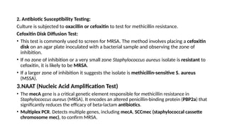 F. B lactamse and Extended Spectrum Beta Lactamasedetection .pptx