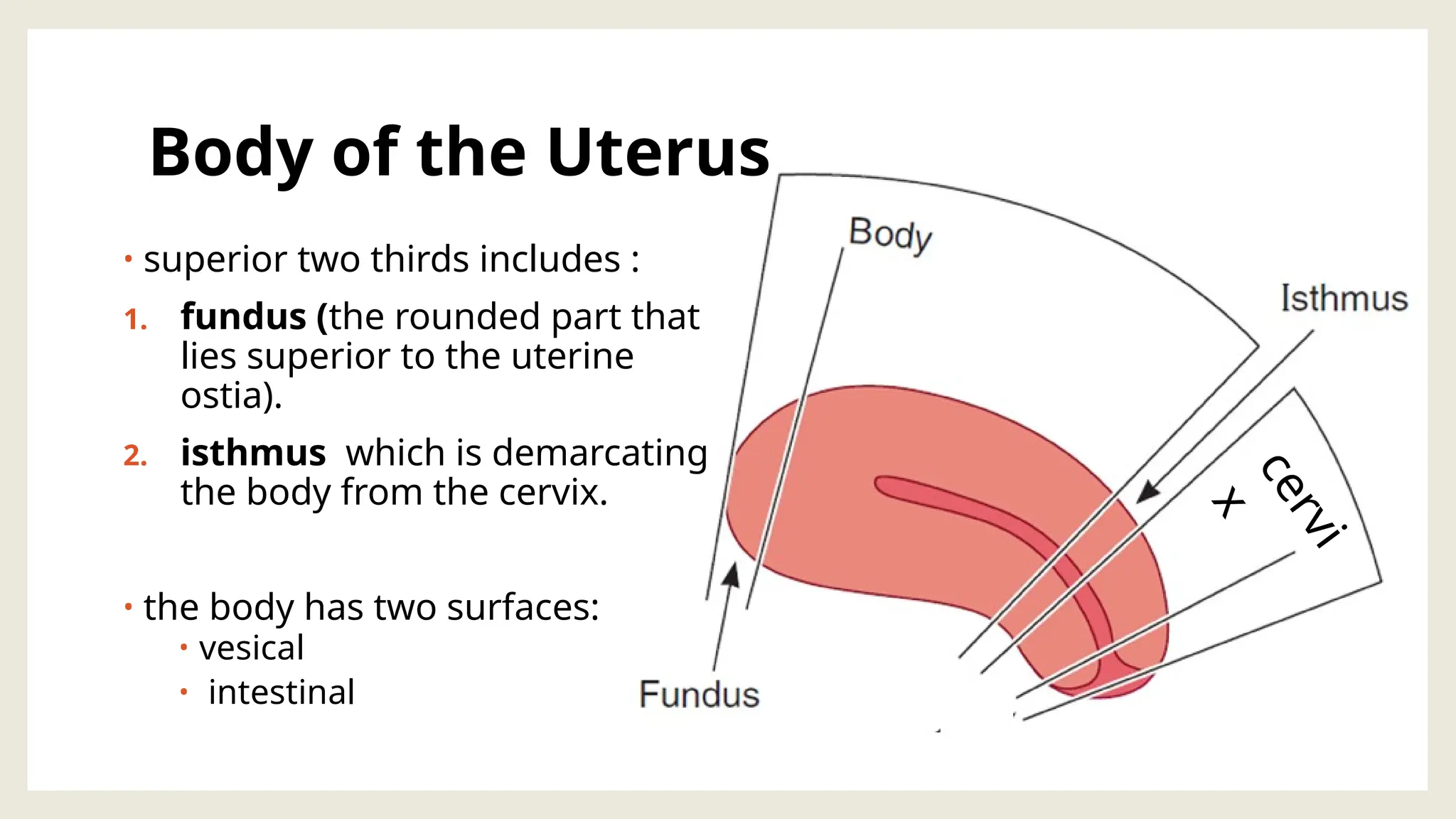 F.I.G.O.pptx female reproductive system pptx | PPTX