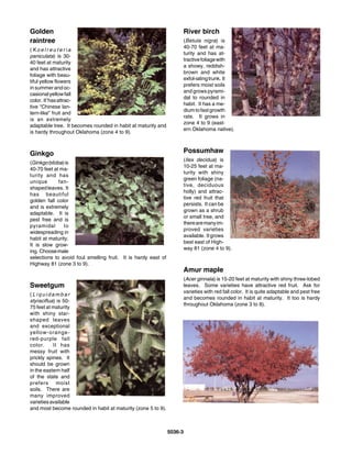Deciduous Trees for Oklahoma - Oklahoma State University | PDF