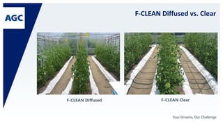 F-Clean ETFE Film for Greenhouse Coverings | PDF