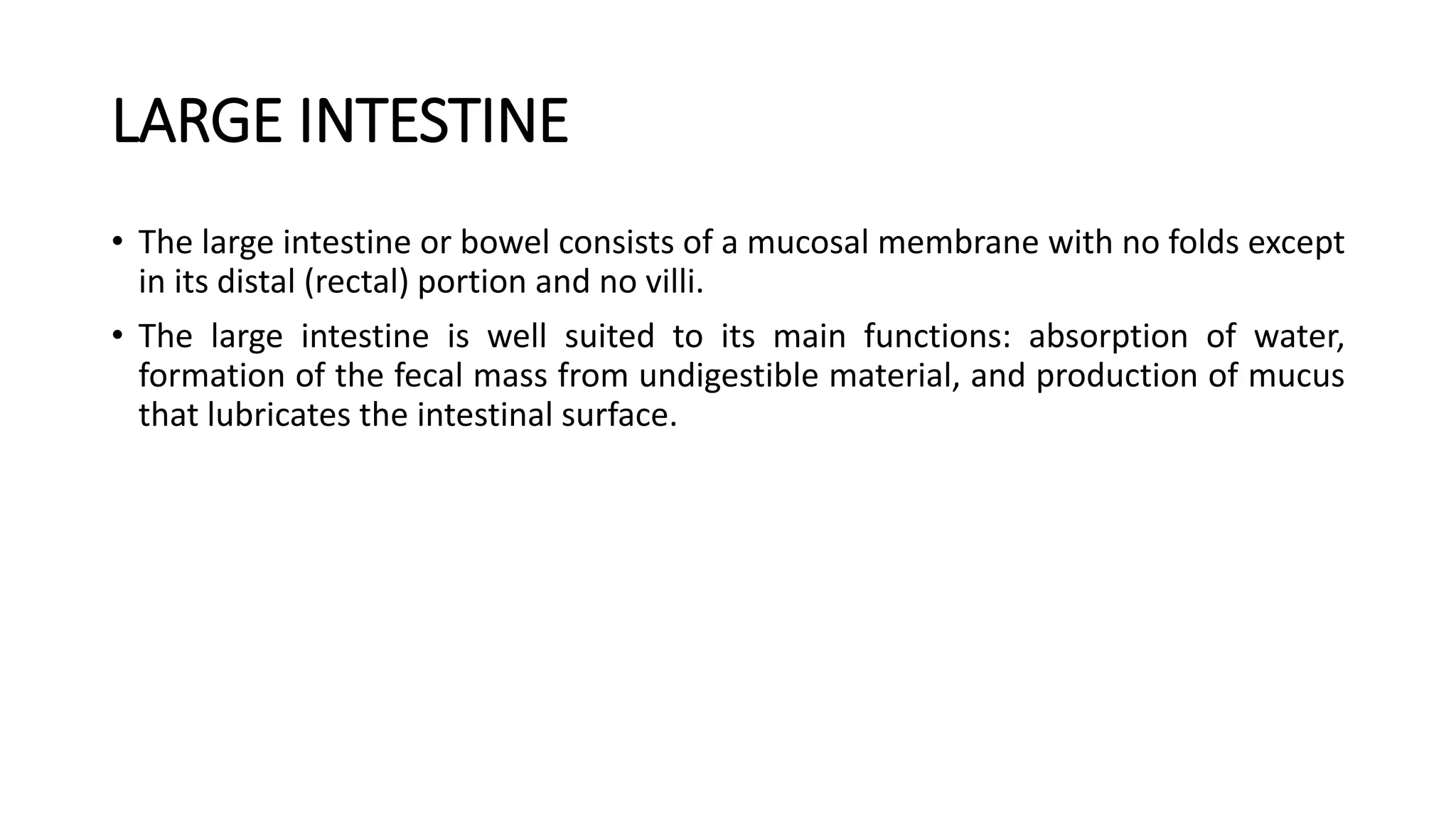 f-digestive system slide show ppt slides | PPT