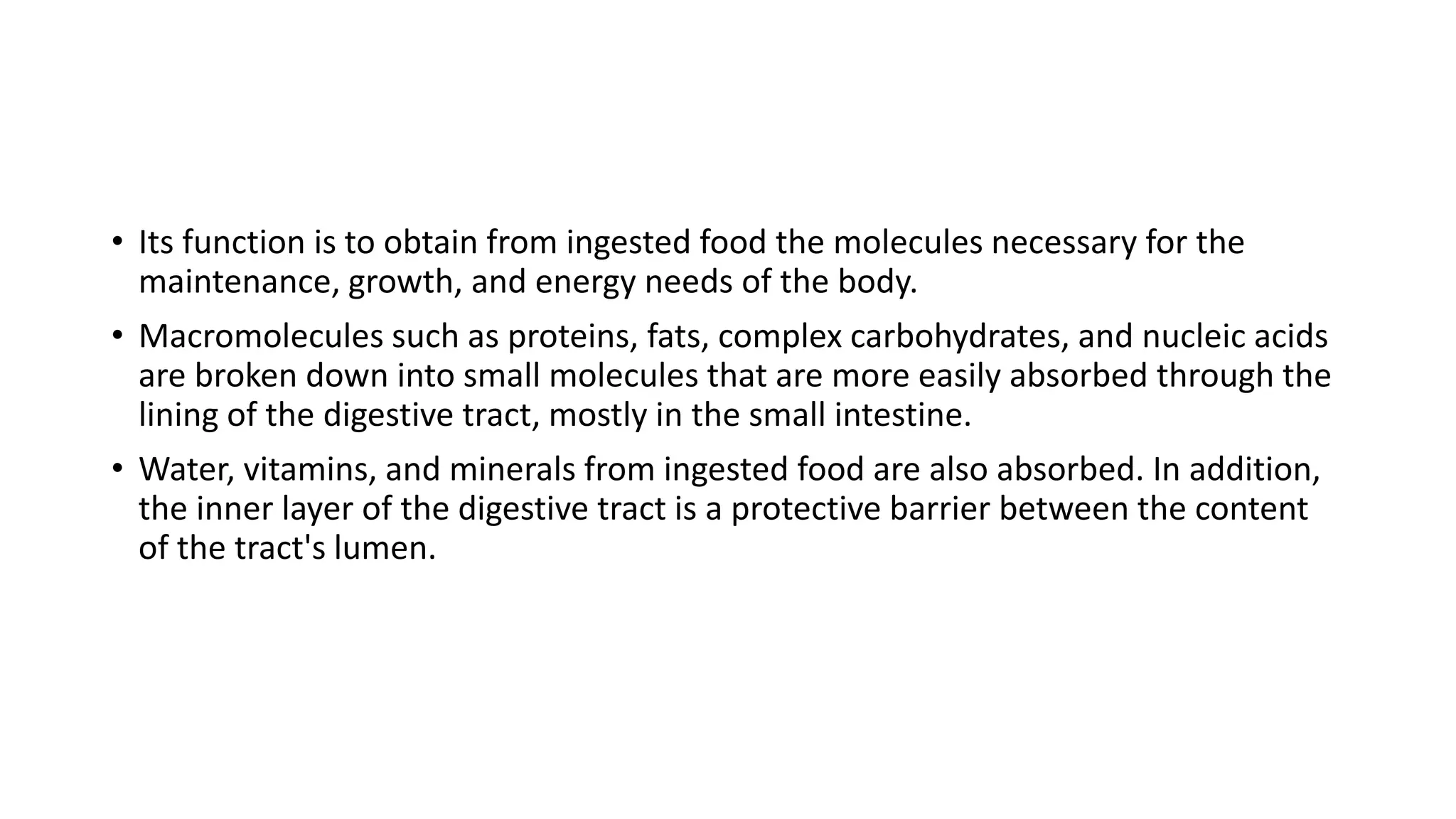 f-digestive system slide show ppt slides | PPT
