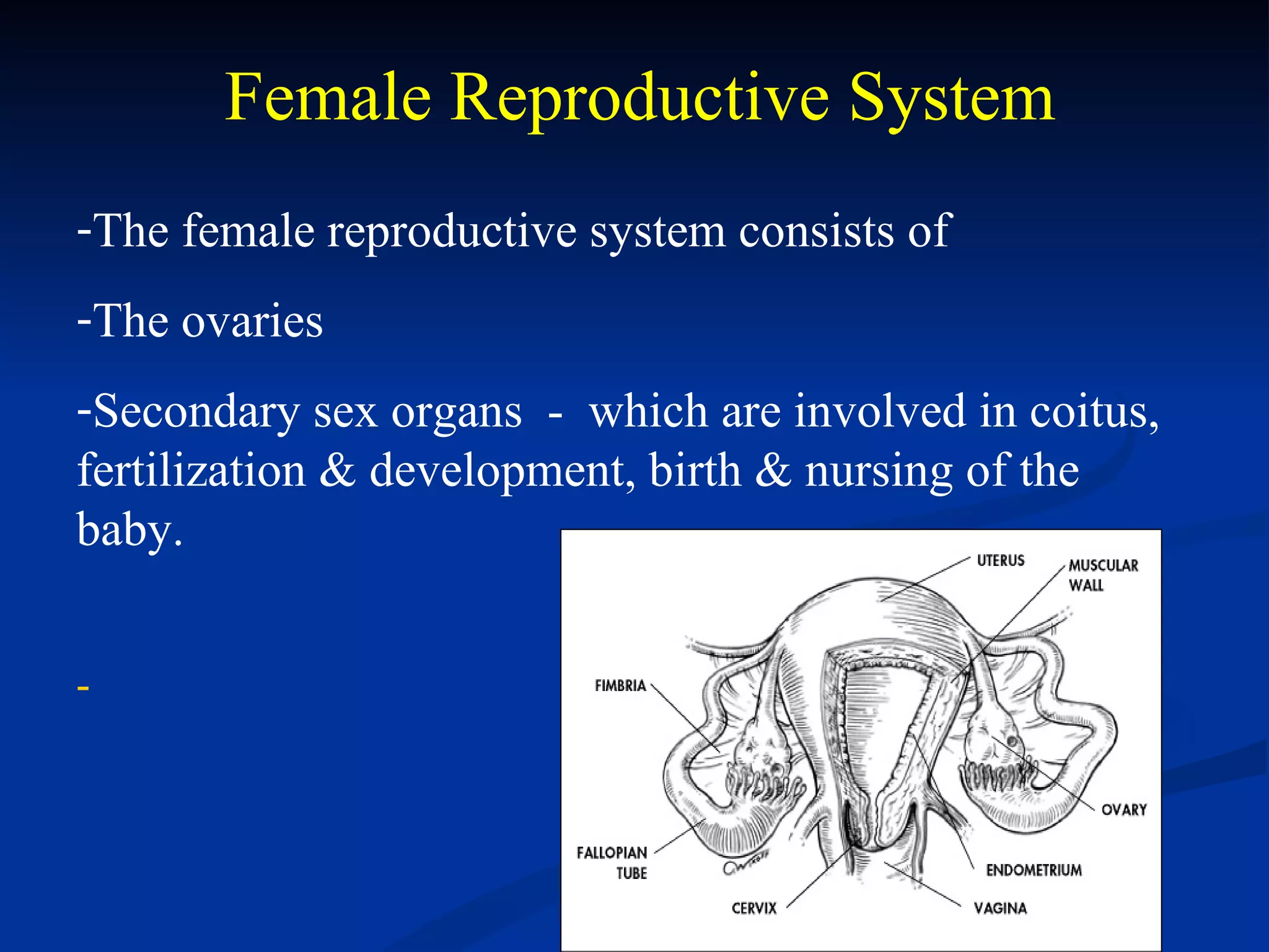DISEASES OF THE FEMALE REPRODUCTIVE SYSTEM | PPT