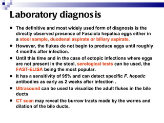 F.hepatica | PPT | Digestive Disorders | Diseases and Conditions