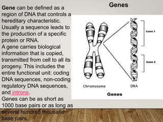 F-NUCLEOSOMES.ppt | Chemistry | Science