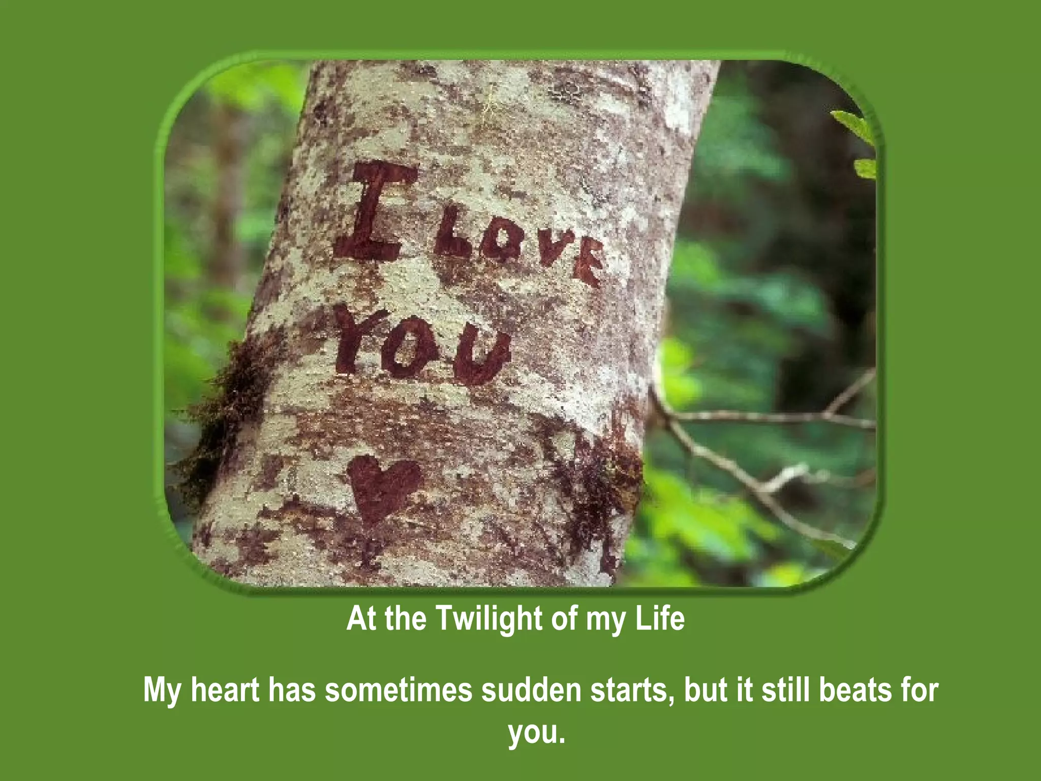 AT THE TWILIGHT OF MY LIFE | PPS