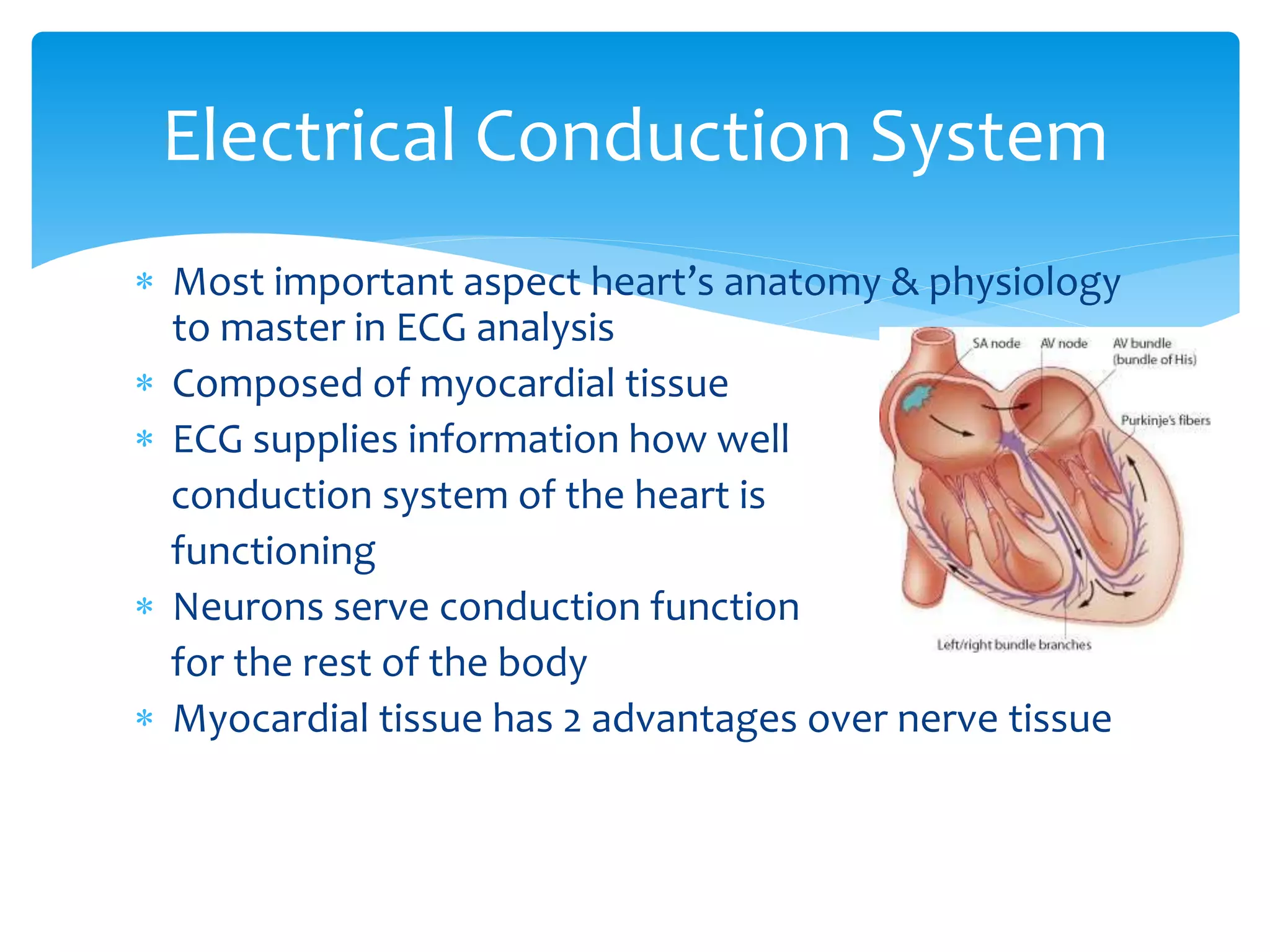 Electrocardiography | PPTX