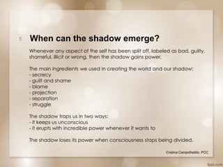 Our Shadow Presentation | PDF