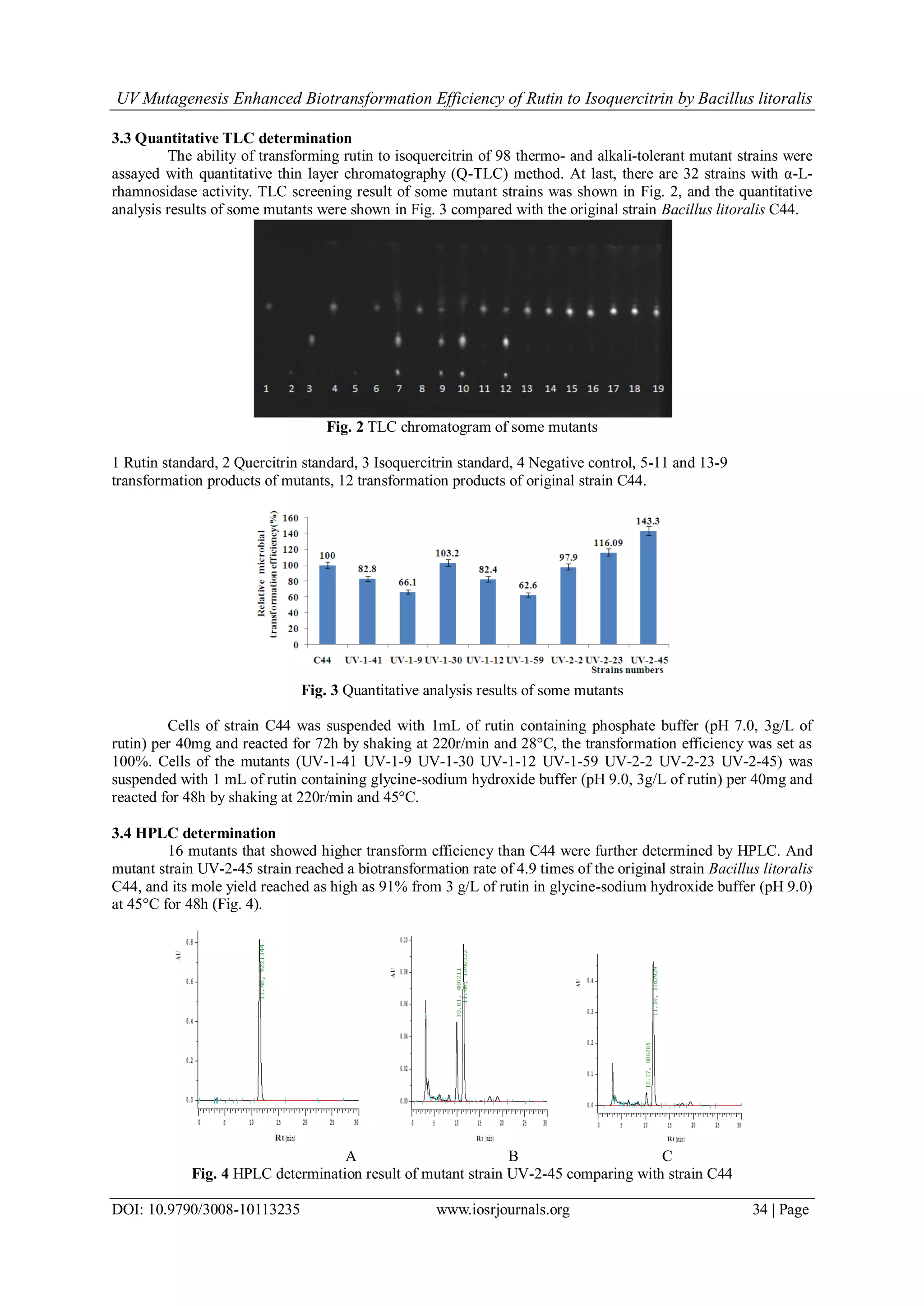 UV Mutagenesis Enhanced Biotransformation Efficiency of Rutin to ...