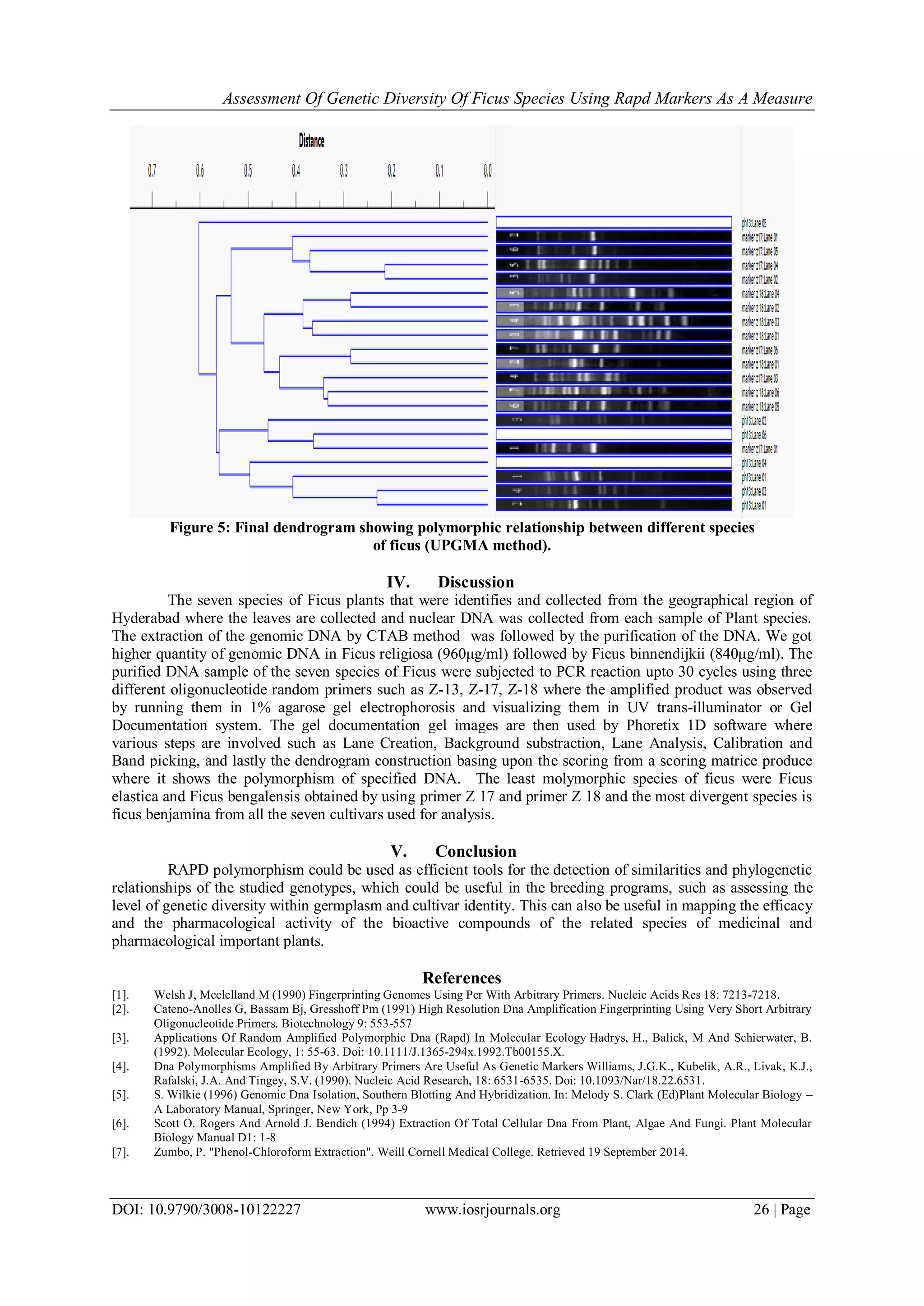 Assessment of Genetic Diversity of Ficus Species Using Rapd Markers as a Measure of Genomic ...