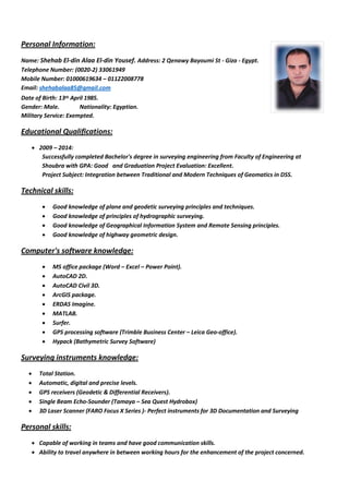 Curriculum Vitae Shehab | PDF