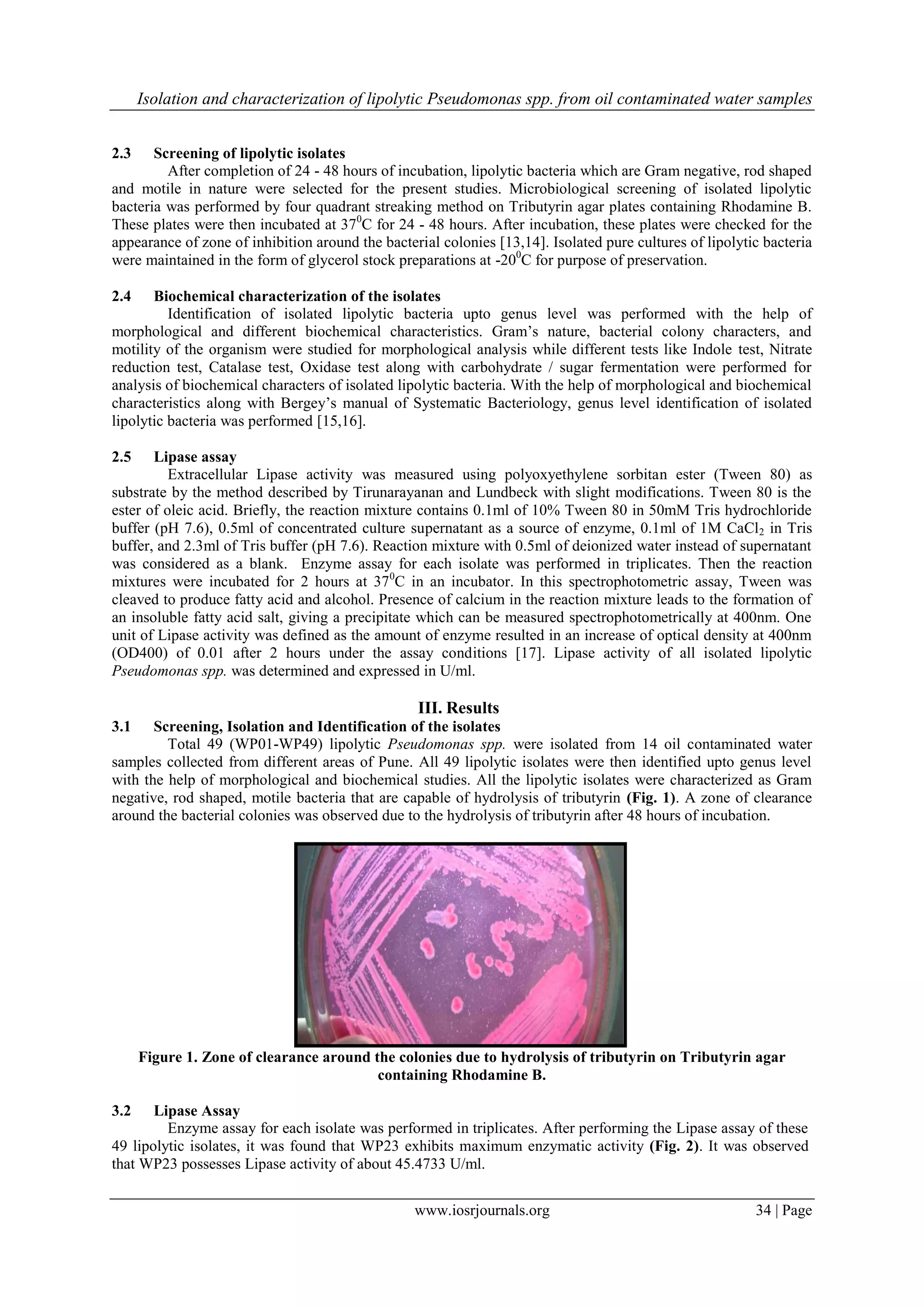 Isolation And Characterization Of Lipolytic Pseudomonas Spp From Oil Contaminated Water Samples