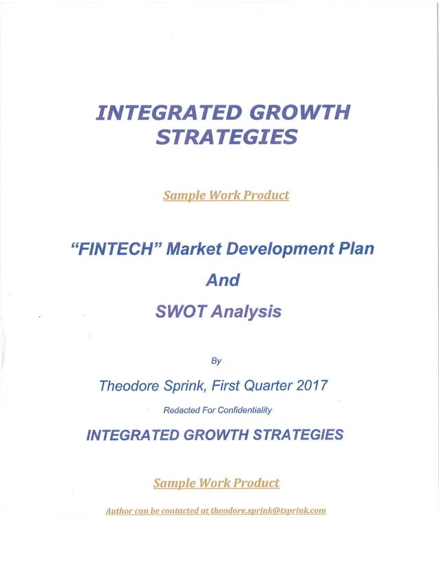 FinTech 2017 Marketing Plan & SWOT | PDF