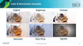 “An Introduction to Data Augmentation Techniques in ML Frameworks,” a Presentation from AMD | PDF