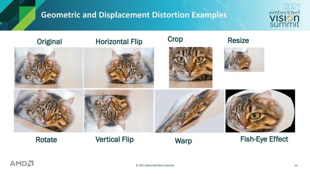“An Introduction to Data Augmentation Techniques in ML Frameworks,” a Presentation from AMD | PDF
