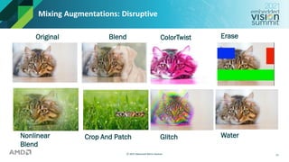 “An Introduction to Data Augmentation Techniques in ML Frameworks,” a Presentation from AMD | PDF