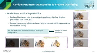 “An Introduction to Data Augmentation Techniques in ML Frameworks,” a ...