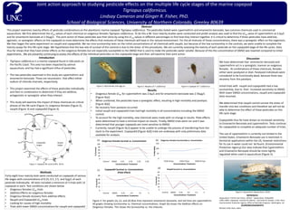 Copepod Project | PDF