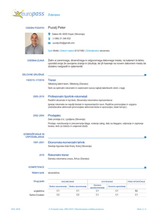Europass CV Peter P slo | PDF