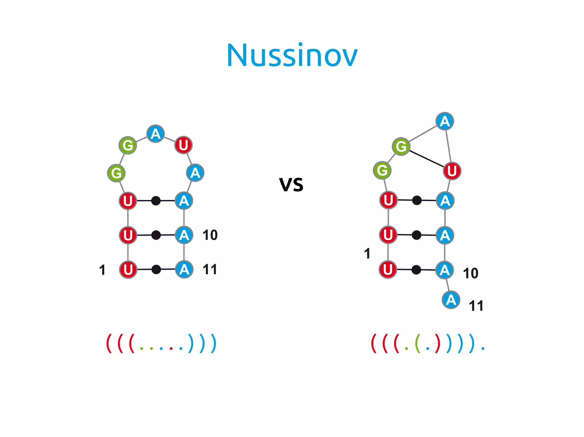 AB-RNA-Mfold&SCFGs-2011 | PPT