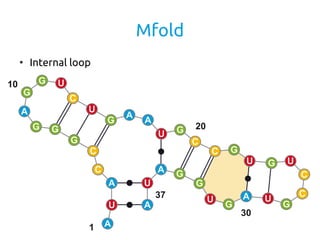 AB-RNA-Mfold&SCFGs-2011 | PPT