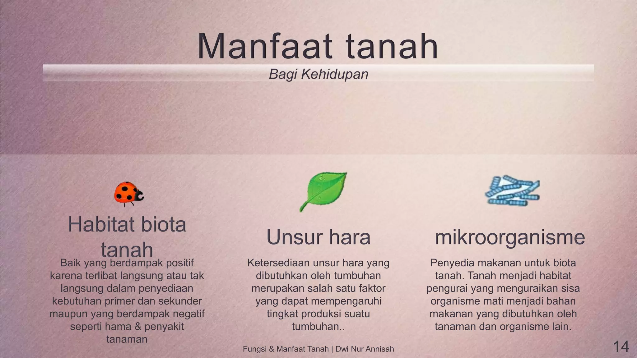 Fungsi dan Manfaat tanah | PPTX