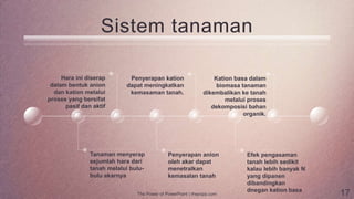 Fungsi dan Manfaat tanah | PPTX