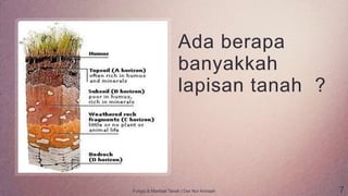 Fungsi dan Manfaat tanah | PPTX