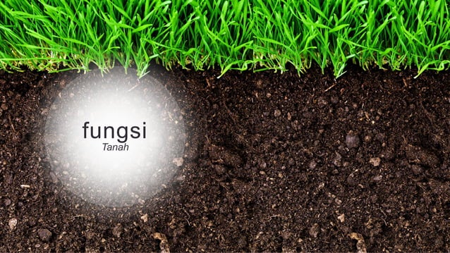 Fungsi dan Manfaat tanah | PPTX