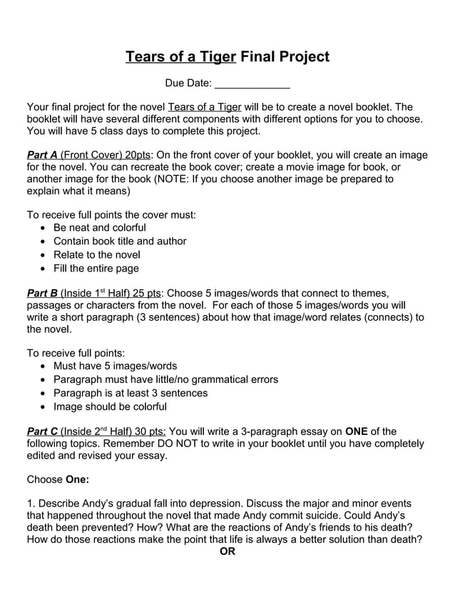 Final Booklet Project | PDF